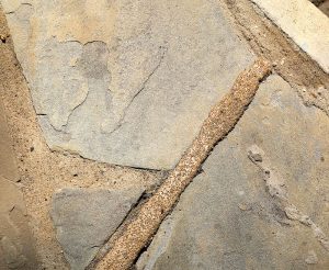 Pool Mastic: Everything You Need to Know | Willsha Pools